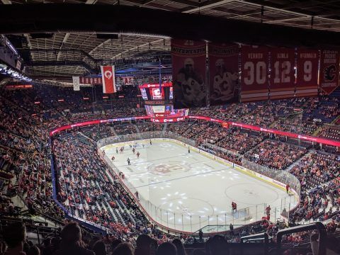 An Expert’s Guide To Choosing Which NHL Team To Support