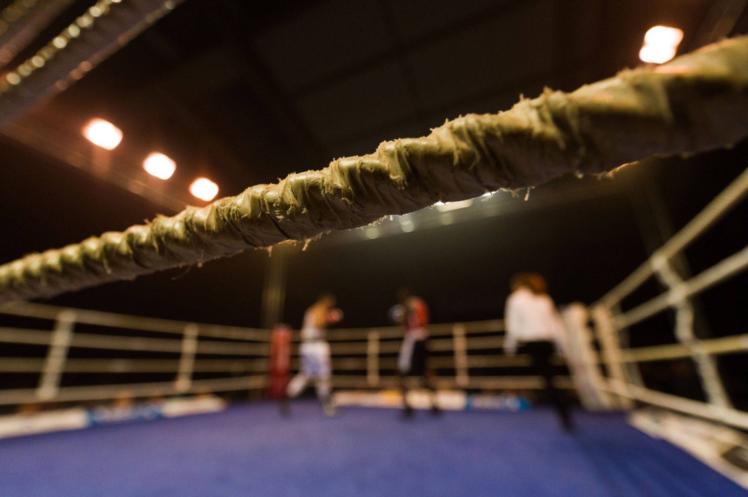 Evolution of Heavyweight Champions - Casino.org Blog