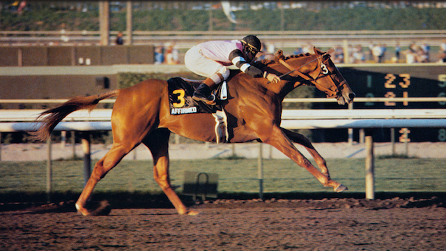 Top 10 Racehorses of All-Time - Casino.org Blog
