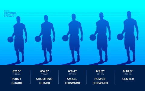 NBA Statistics: The Average NBA Player Height In 2024 🏀
