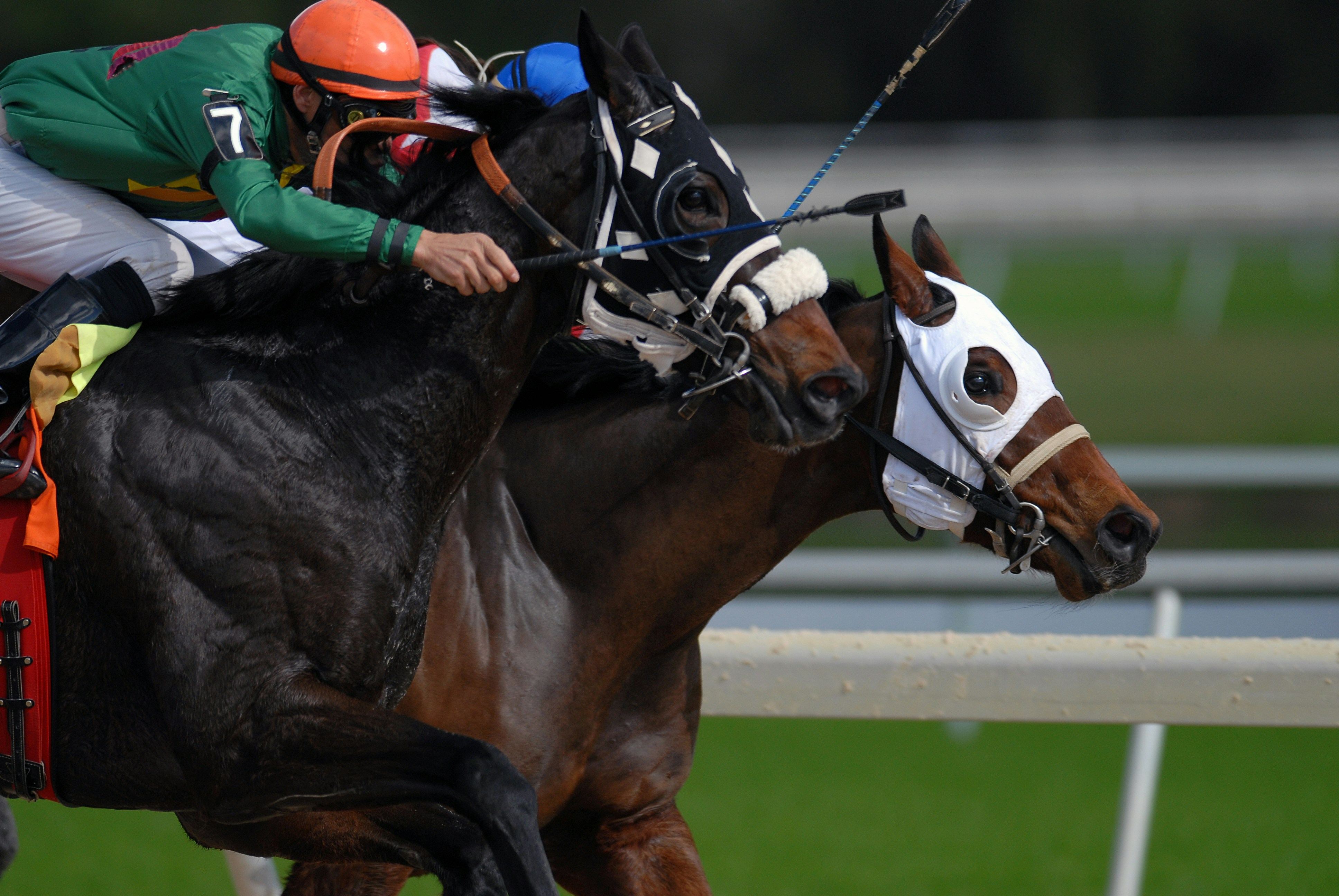 Derby Fever: Ultimate Kentucky Derby States