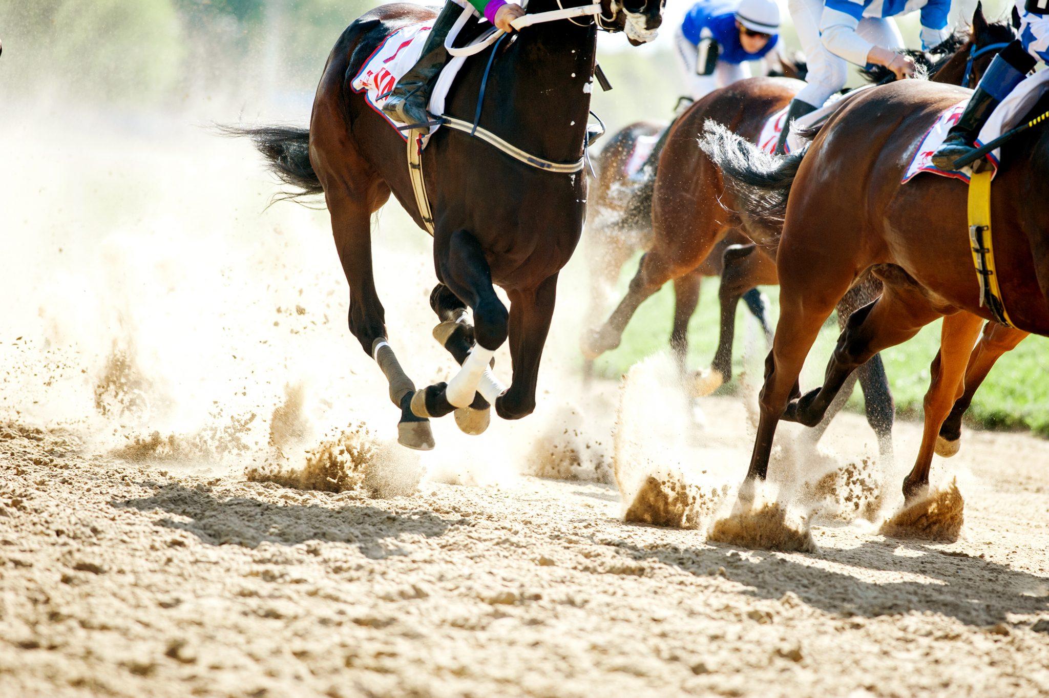 Top 10 Horse Racing Tracks in the World - Famous Horse Race Courses