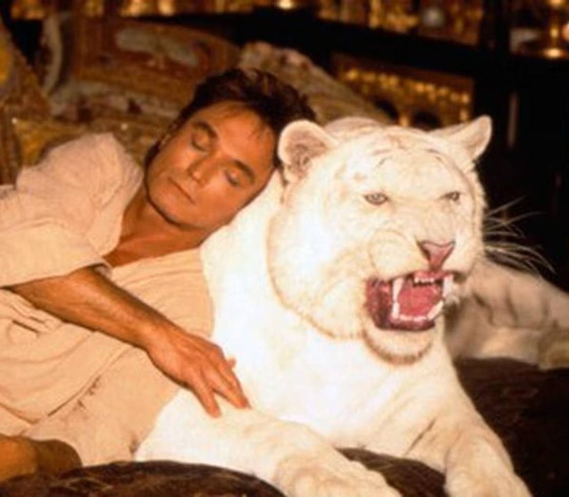 VEGAS MYTHS RE-BUSTED: Tiger Attack Wasn't Siegfried & Roy's Fault ...