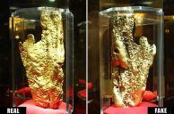 VEGAS MYTHS RE-BUSTED: The 'World’s Largest Golden Nugget' is Real ...