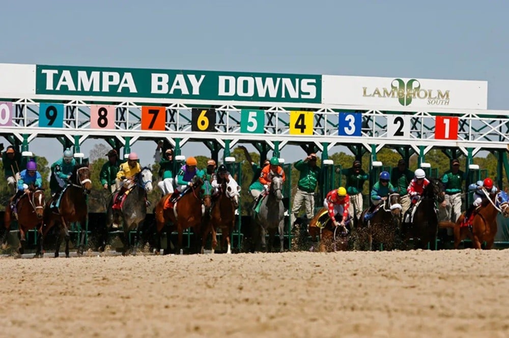 Tampa Bay Downs Commits Amid Threat to Live Racing in Florida