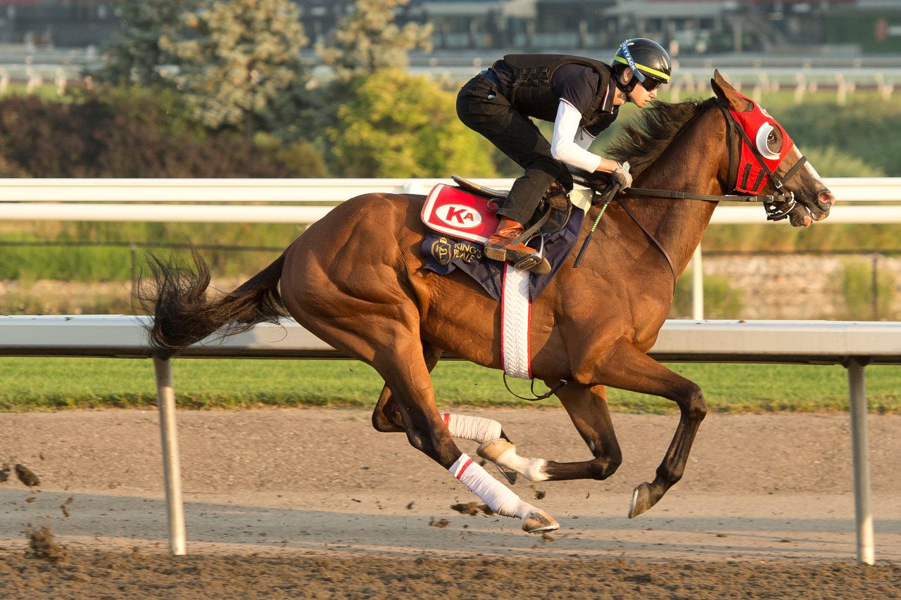 Ontario Bettors Now Able to Wager on Horse Racing Via OLG
