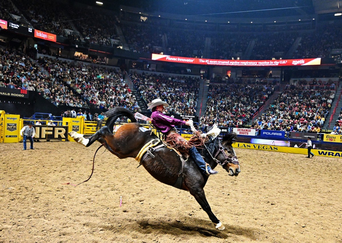 Horse Herpes Threatens National Finals Rodeo in Vegas - Casino.org