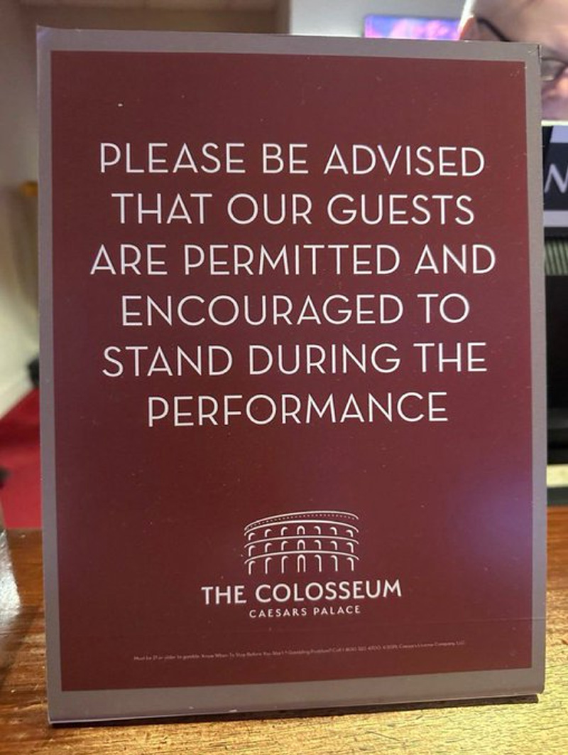 Sit or Stand: Adele Incident Sparks Debate About Audience Etiquette ...